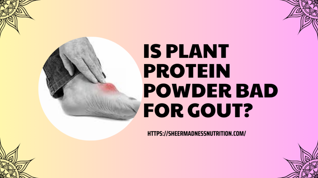 Is plant protein powder bad for gout? - Sheer MADness