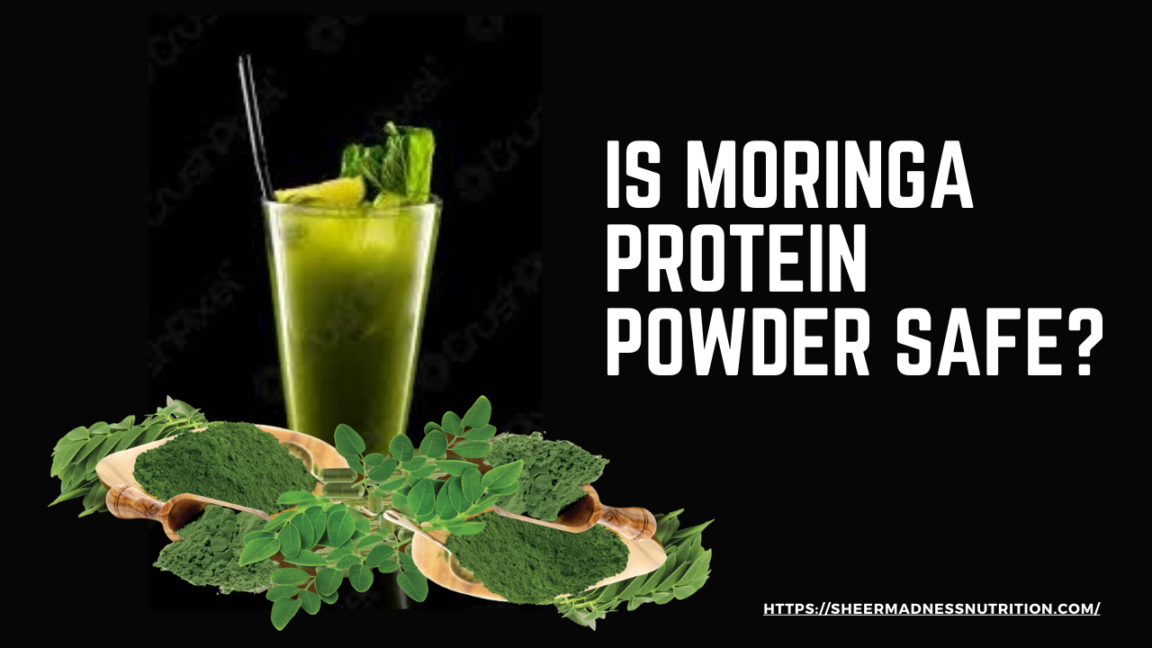 Is Moringa Plant Protein Powder Safe? - Sheer MADness